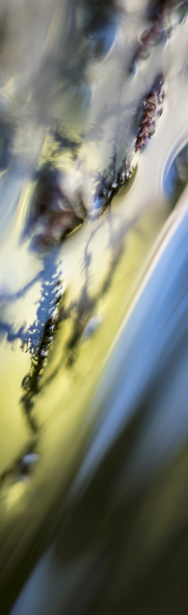 Gianni Candido - Poetic Spaces